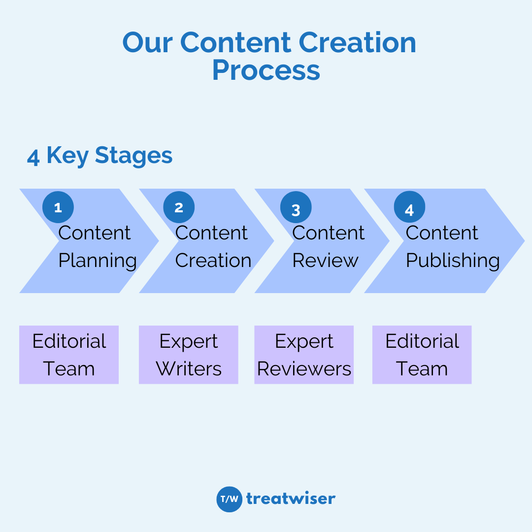 Our Content Creation Process - Treatwiser